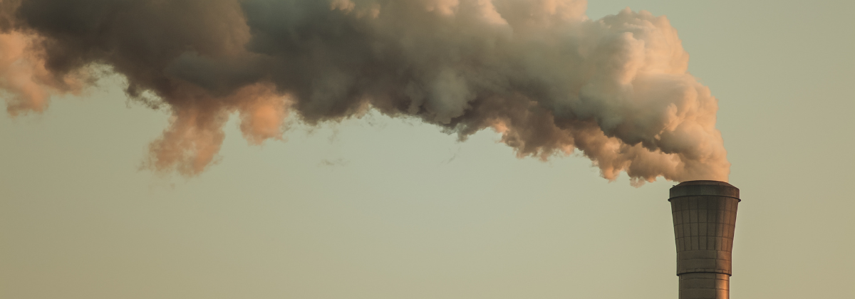 Beyond Net Zero Financial Alliances - Osmosis UK